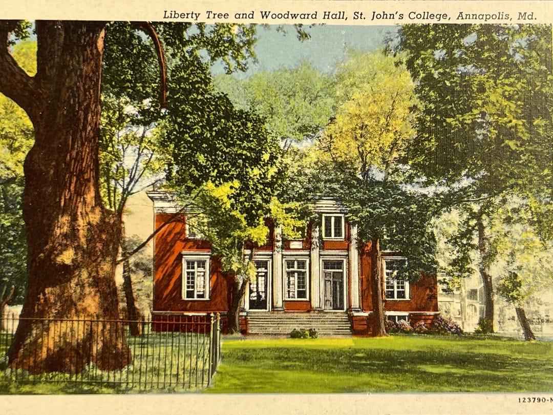 Liberty Tree and Woodward Hall St John's College Annapolis MD Color ...