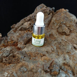 Two Bottles of Icelandic Plant Oil Aroma - Icelandic Diffuser - Etsy