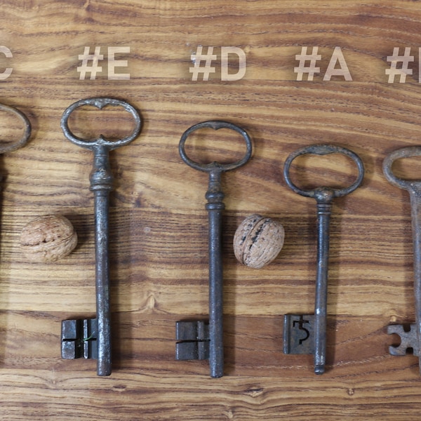 French Skeleton Key - Etsy