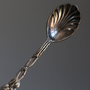 Antique Different Small Coffee Spoons, Elegant Teaspoons, Chrome ...