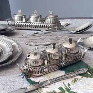 Vintage Condiment Serving Spice Bowil Set With Tray and Spoons, Mini ...