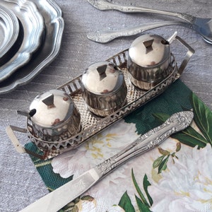 Vintage Condiment Serving Spice Bowil Set With Tray and Spoons, Mini ...