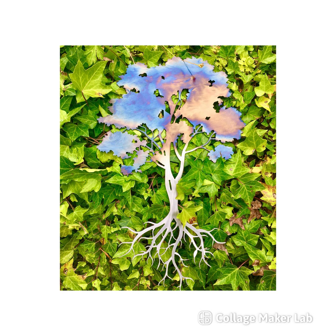 Tree of Life Wall Art, Sycamore Rainbow Effect Family Tree Rust ...