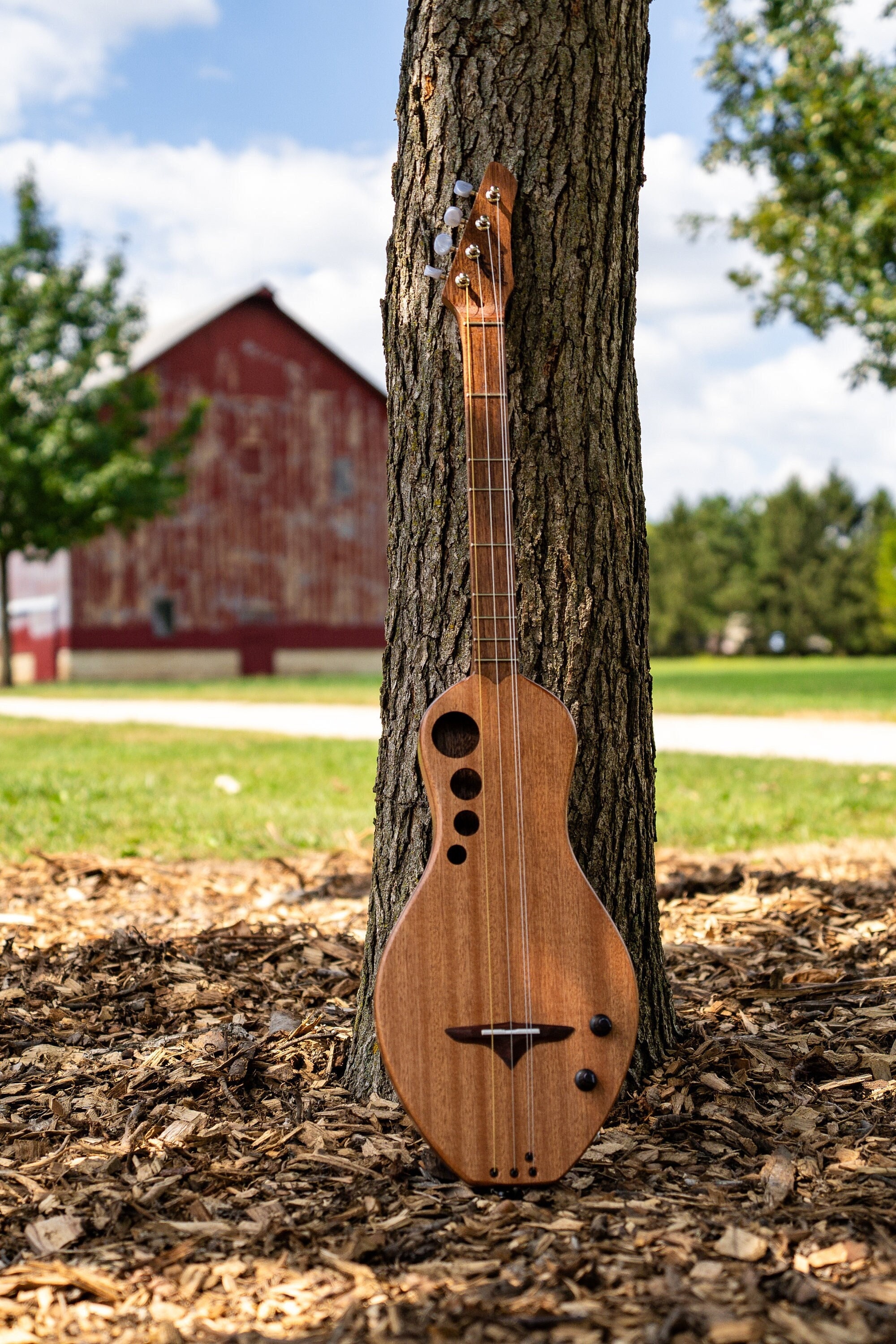 The NEW Boondocker D2 Sapele Dulcimer Electric Acoustic 4-string W ...