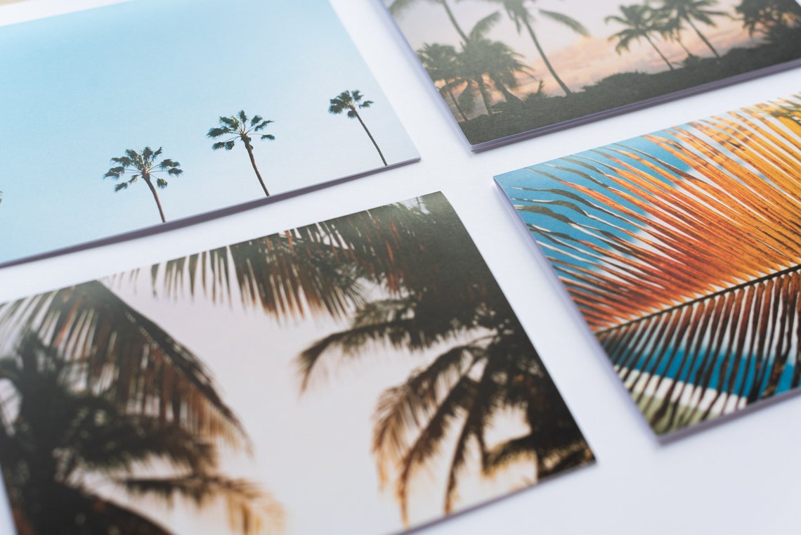 Pack of 4 Palm Tree Greeting Cards Tropical California Florida - Etsy