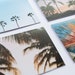 Pack of 4 Palm Tree Greeting Cards Tropical California Florida - Etsy
