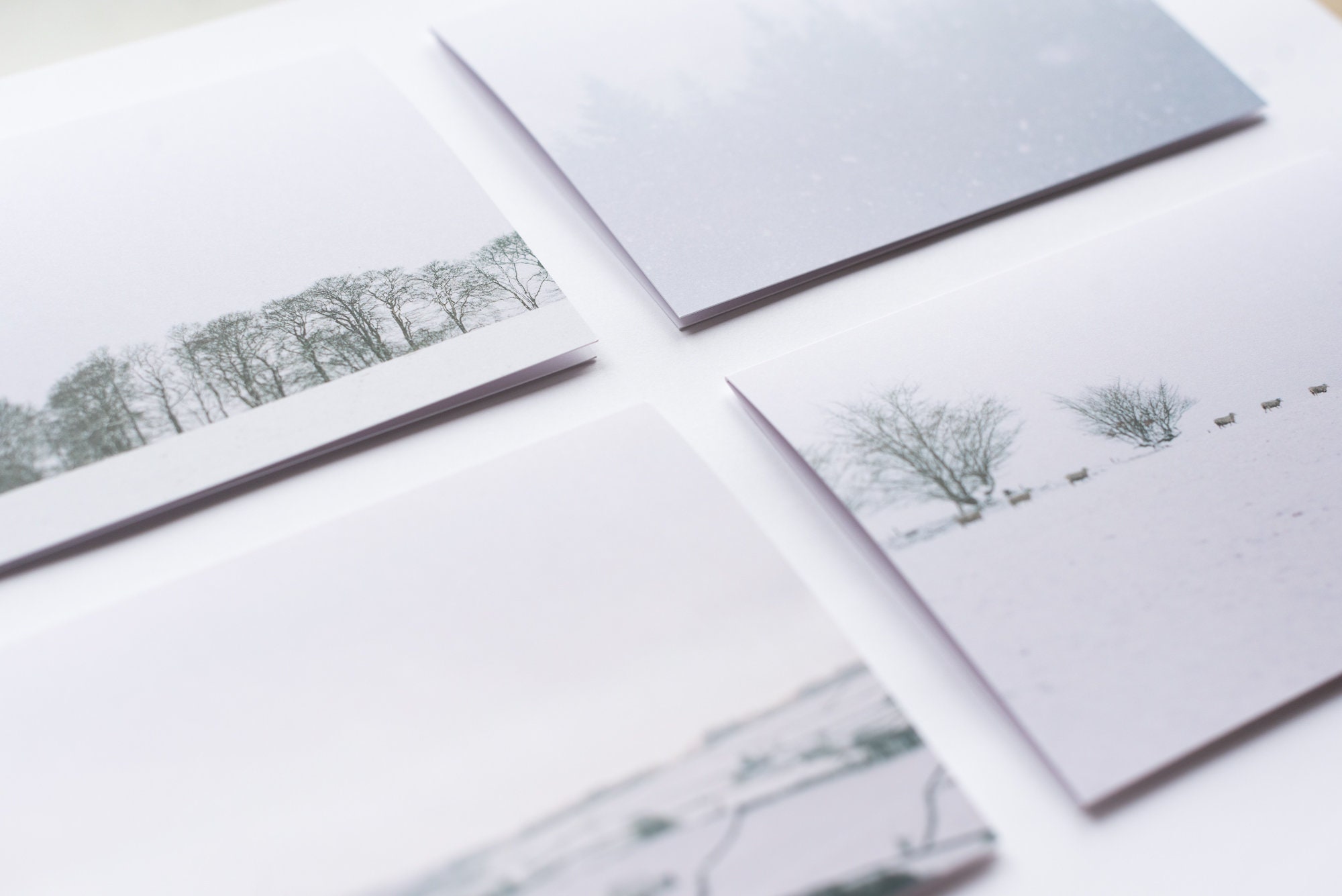 Winter Greeting Cards - Snow Scenes, Fields, Countryside, Trees ...