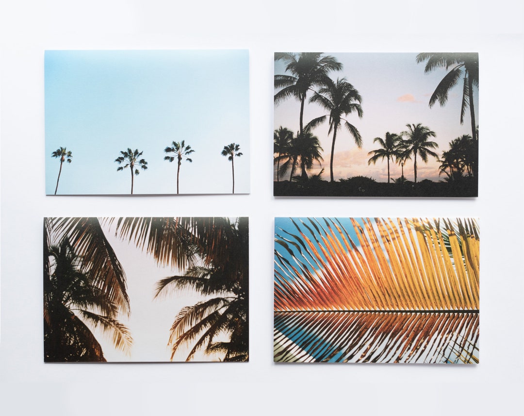 Pack of 4 Palm Tree Greeting Cards Tropical California Florida - Etsy