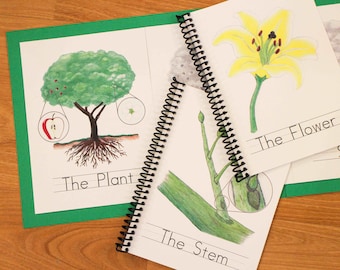 Parts of a Bulb Nomenclature Book Montessori Botany - Etsy