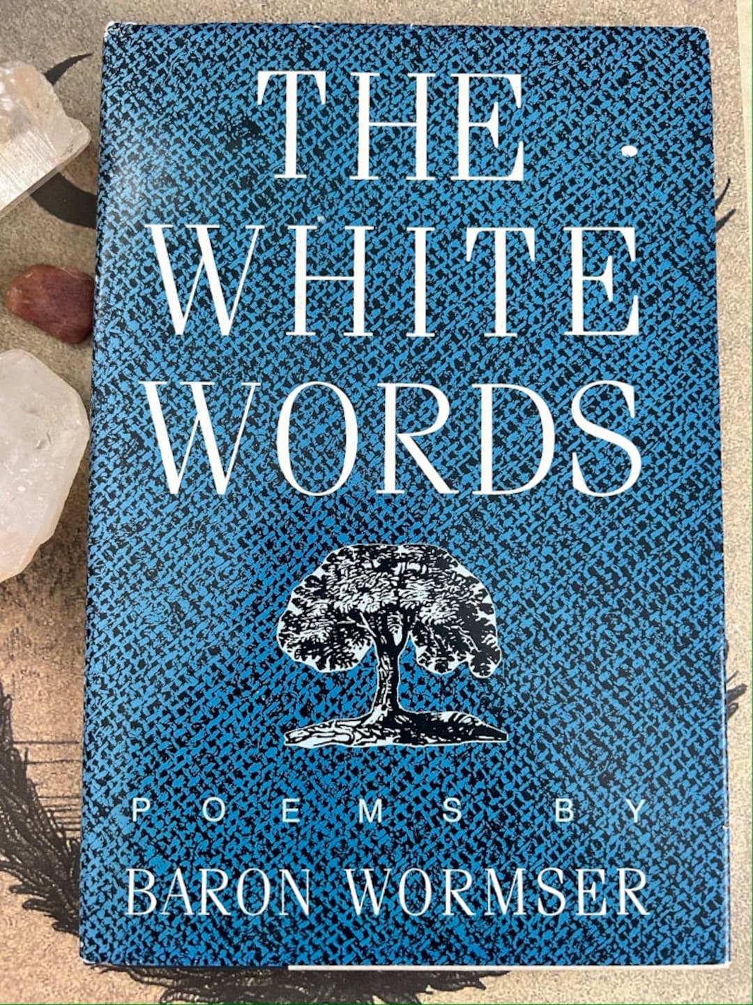 The White Words by Baron Wormser American Poetry Poetry Books First ...