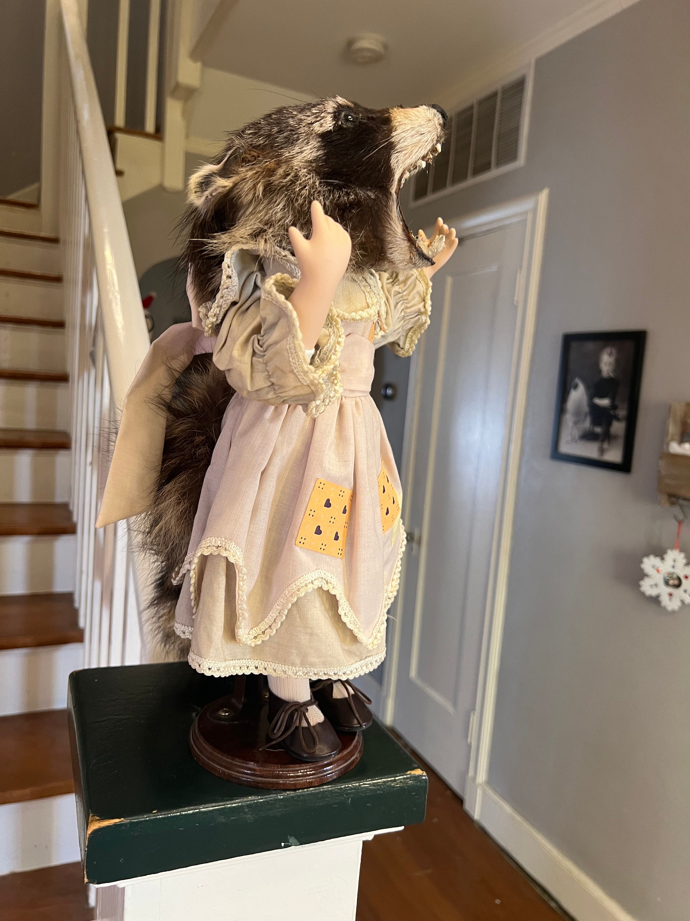 Taxidermy Angry Little Raccoon Baby Trash Panda Doll - Etsy