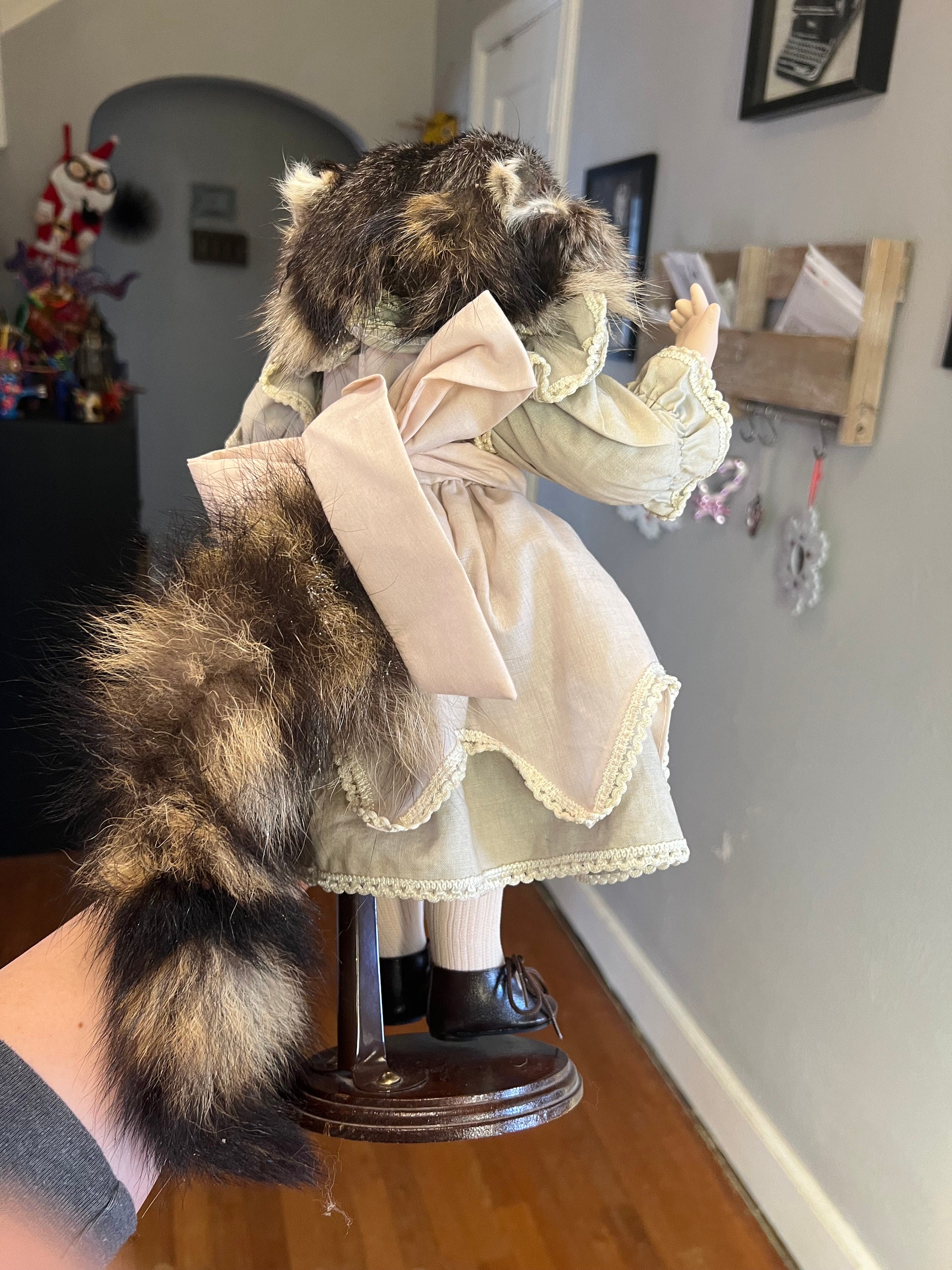 Taxidermy Angry Little Raccoon Baby Trash Panda Doll - Etsy