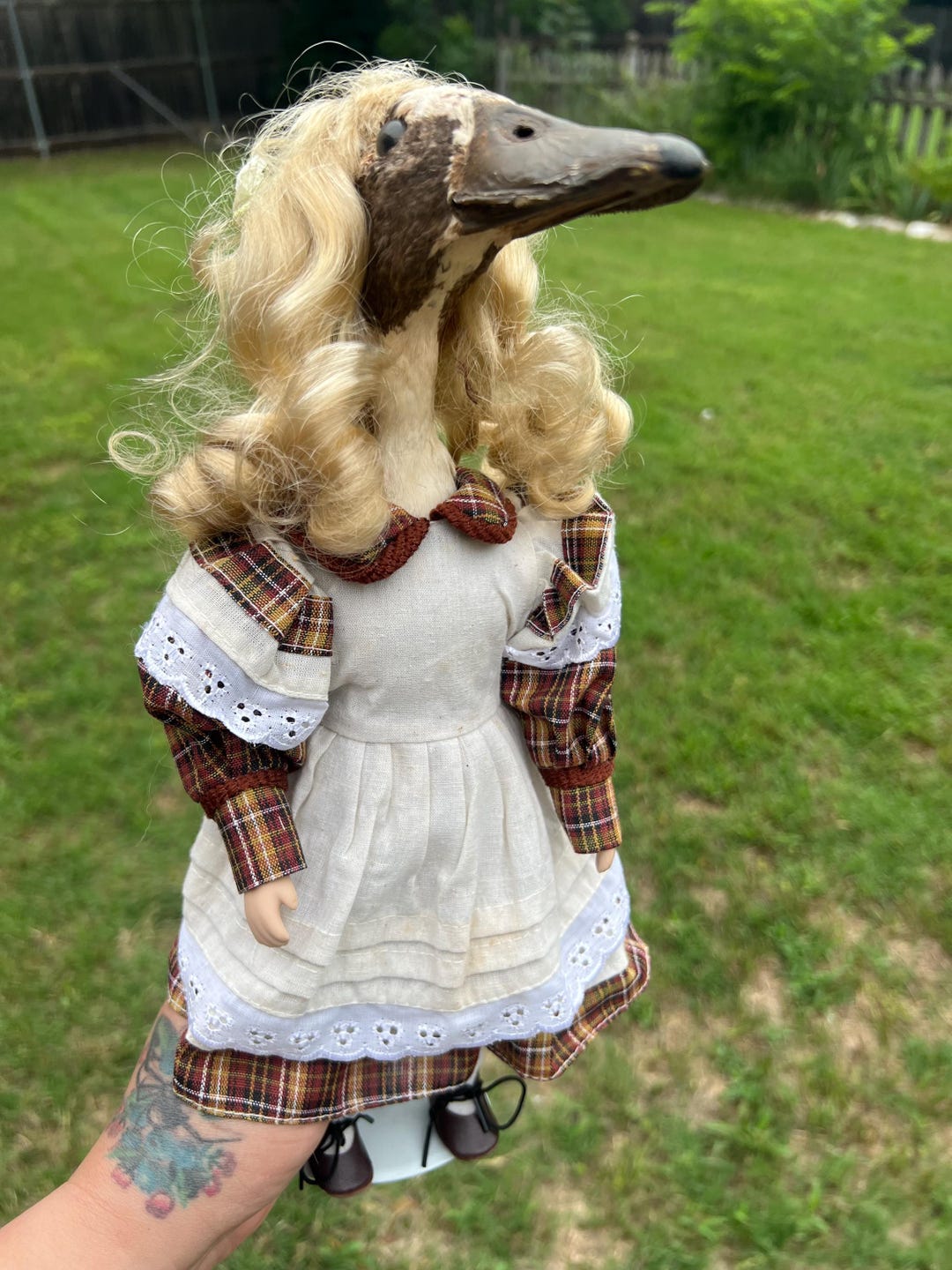 Taxidermy Dottie Quacker-taxidermy Duck Doll - Etsy