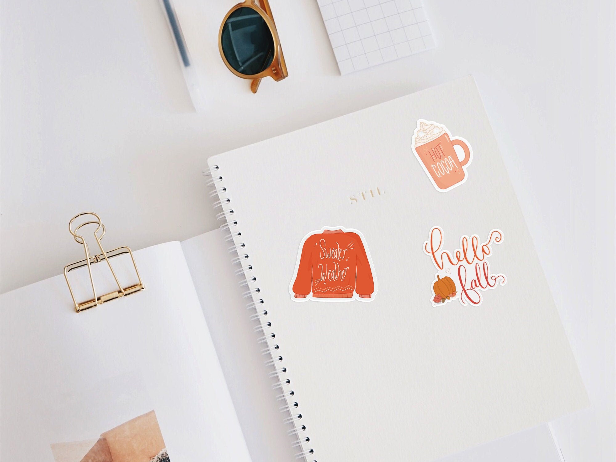 Fall Vinyl Sticker Pack Fall Sticker Sticker Pack Hot | Etsy