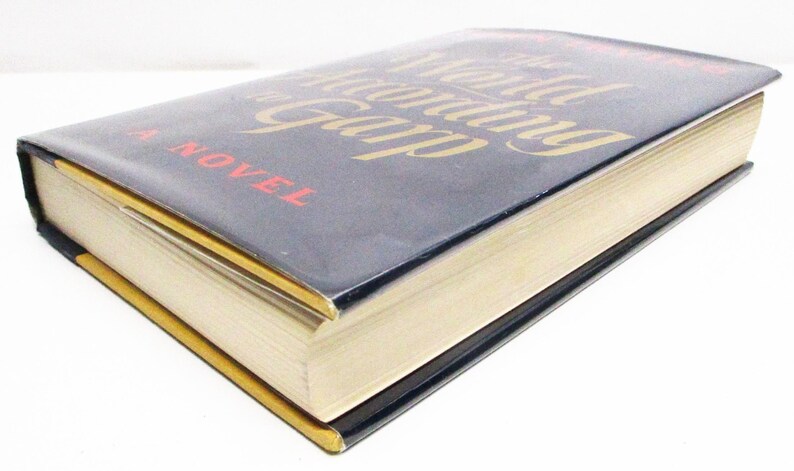 The World According to Garp by John Irving HCDJ - Etsy
