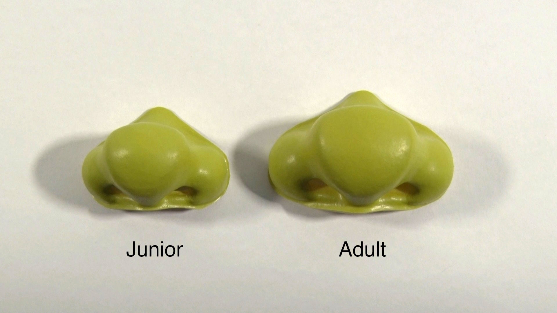 Ogre Shrek/fiona LATEX Nose Junior/adult With Clear or Green - Etsy UK