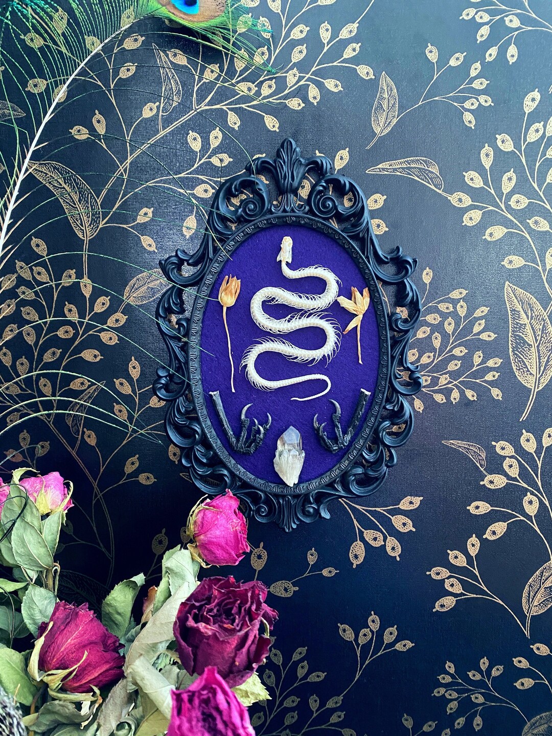 Real Snake Skeleton Taxidermy With Magpie Feet and Elestial Smoky ...