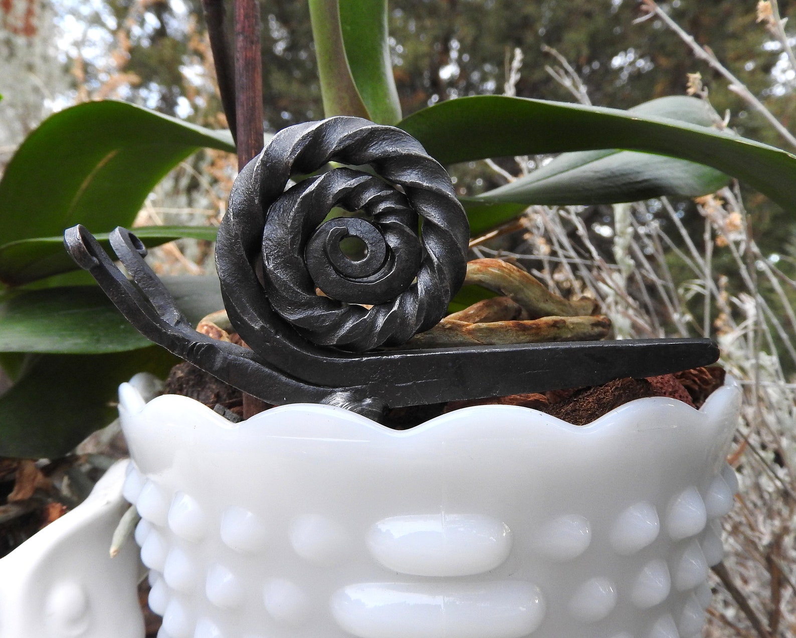 Twisted Houseplant Snail, Indoor Plant Decor, Fairy Garden Decor, Gift ...