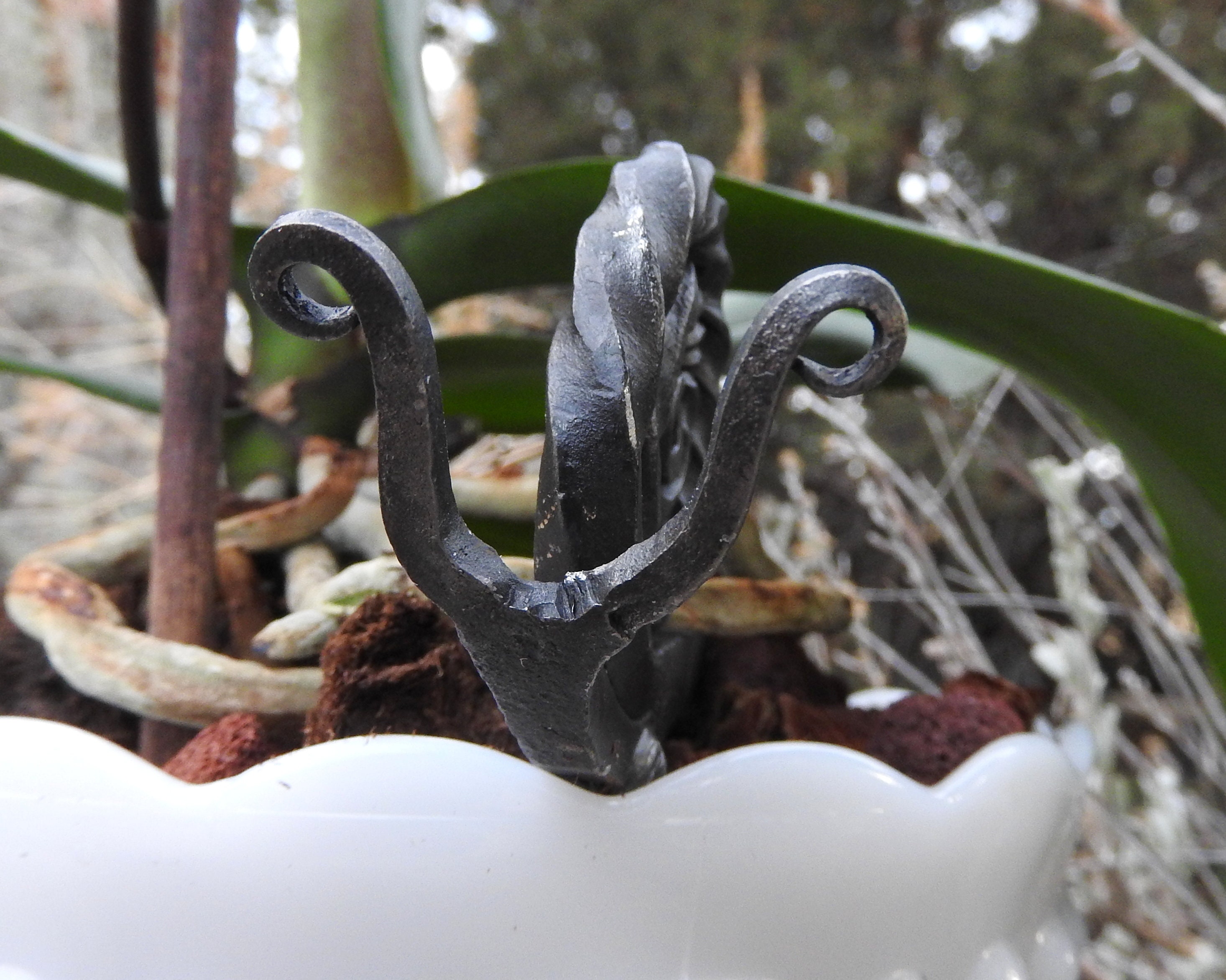 Twisted Houseplant Snail, Indoor Plant Decor, Fairy Garden Decor, Gift ...