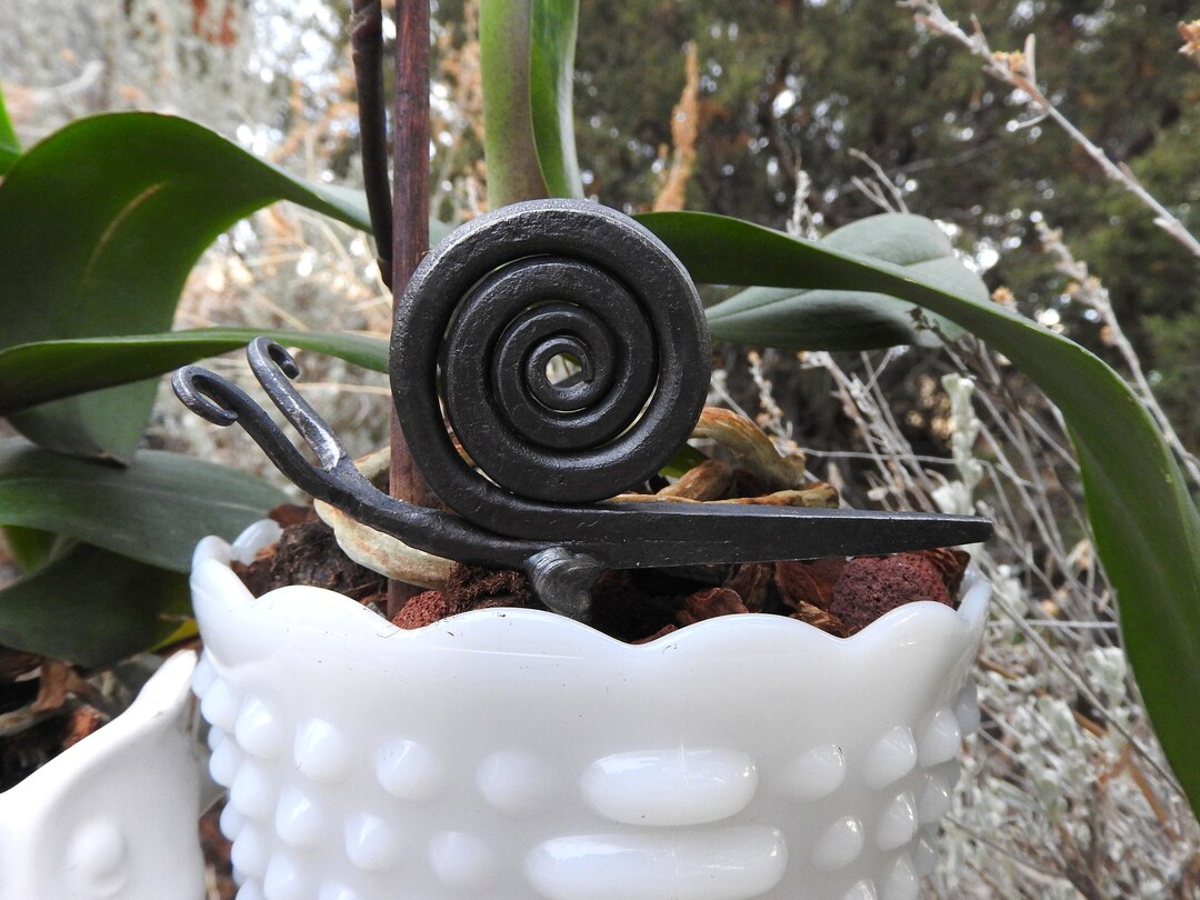 Houseplant Snail, Indoor Plant Decor, Fairy Garden Decor, Gift for ...