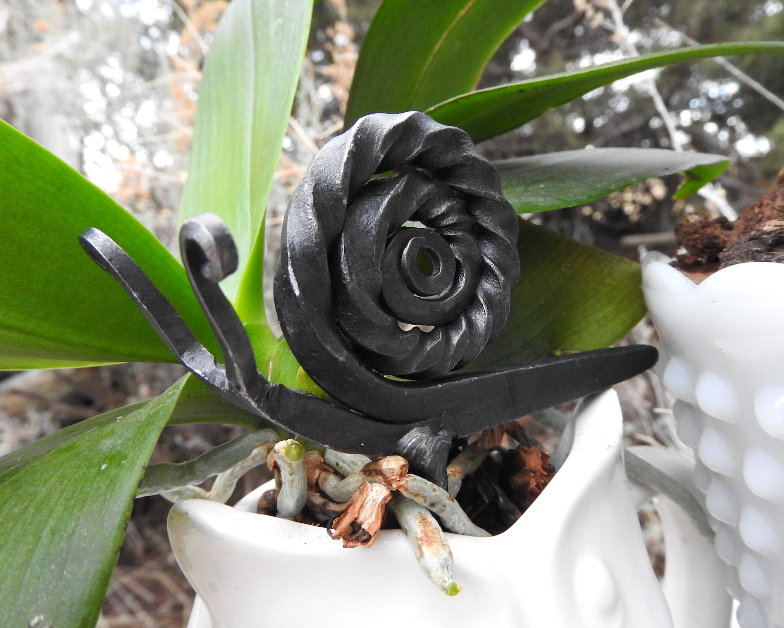 Twisted Houseplant Snail, Indoor Plant Decor, Fairy Garden Decor, Gift ...