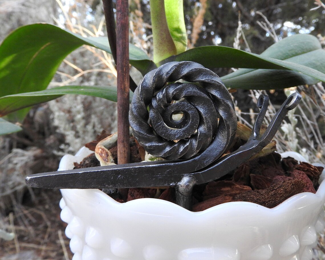 Twisted Houseplant Snail, Indoor Plant Decor, Fairy Garden Decor, Gift ...