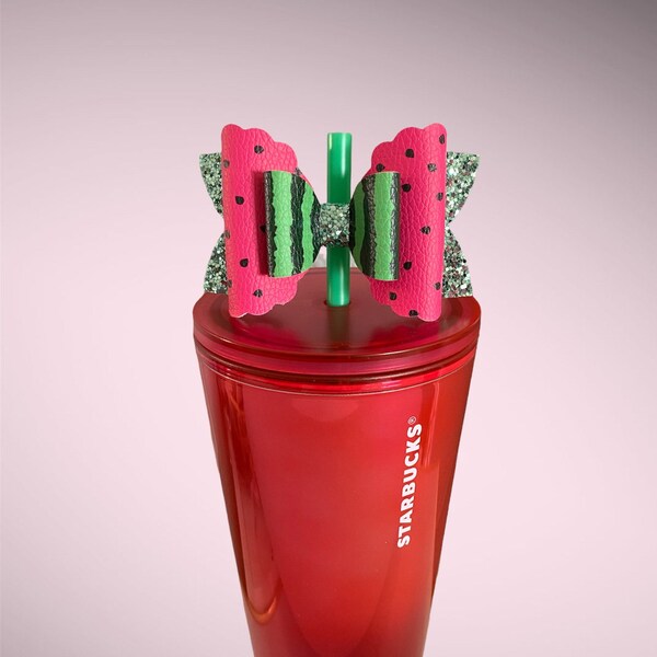 Watermelon Stanley - Etsy