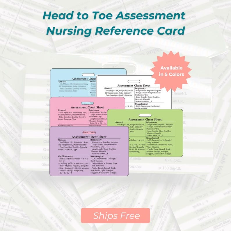 Head to Toe Assessment Nursing Reference Cards | Nursing Badge Cards ...