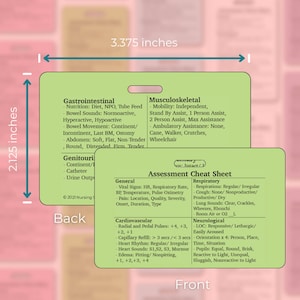 Head to Toe Assessment Nursing Reference Cards | Nursing Badge Cards | Horizontal - Etsy