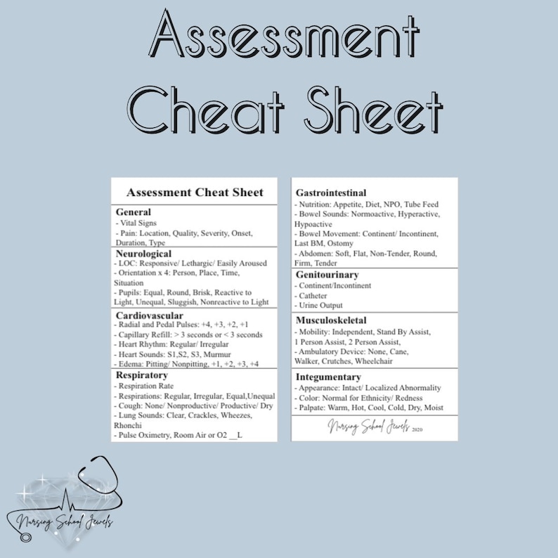 Assessment Cheat Sheet | Etsy