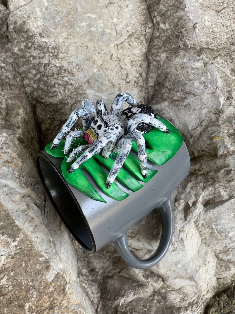 Jumping Spider Mug, Jumping Spider Art, Jumping Spider 3d - Etsy