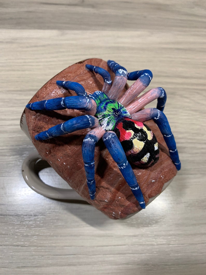 Typhochlaena Seladonia, Typhochlaena Mug, Tarantula Spider, Arachnids ...