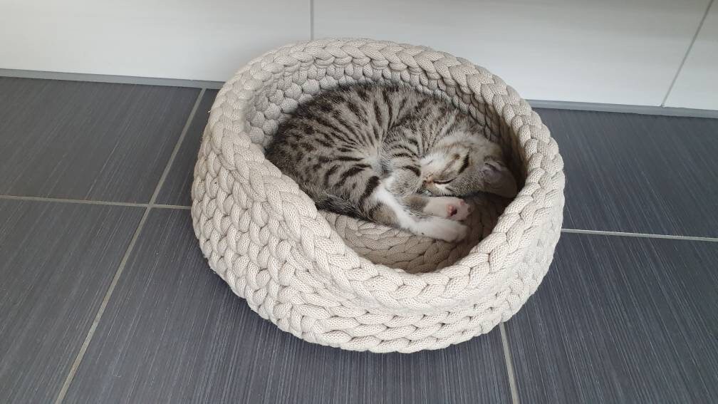 Cat Basket Cat Bed Dog Basket Kitten Puppies Crocheted From | Etsy UK