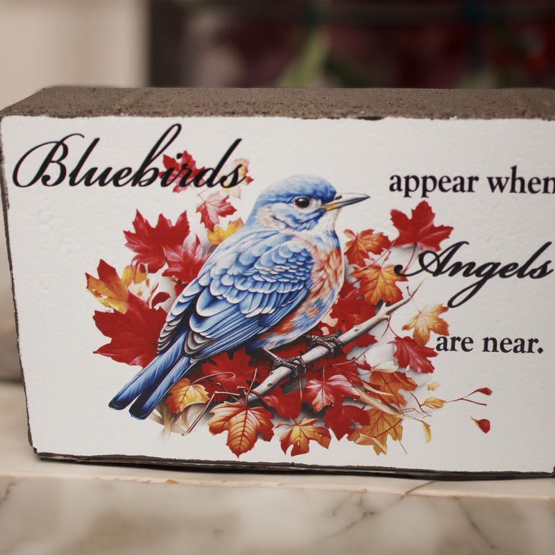 Bird Memorial - Etsy