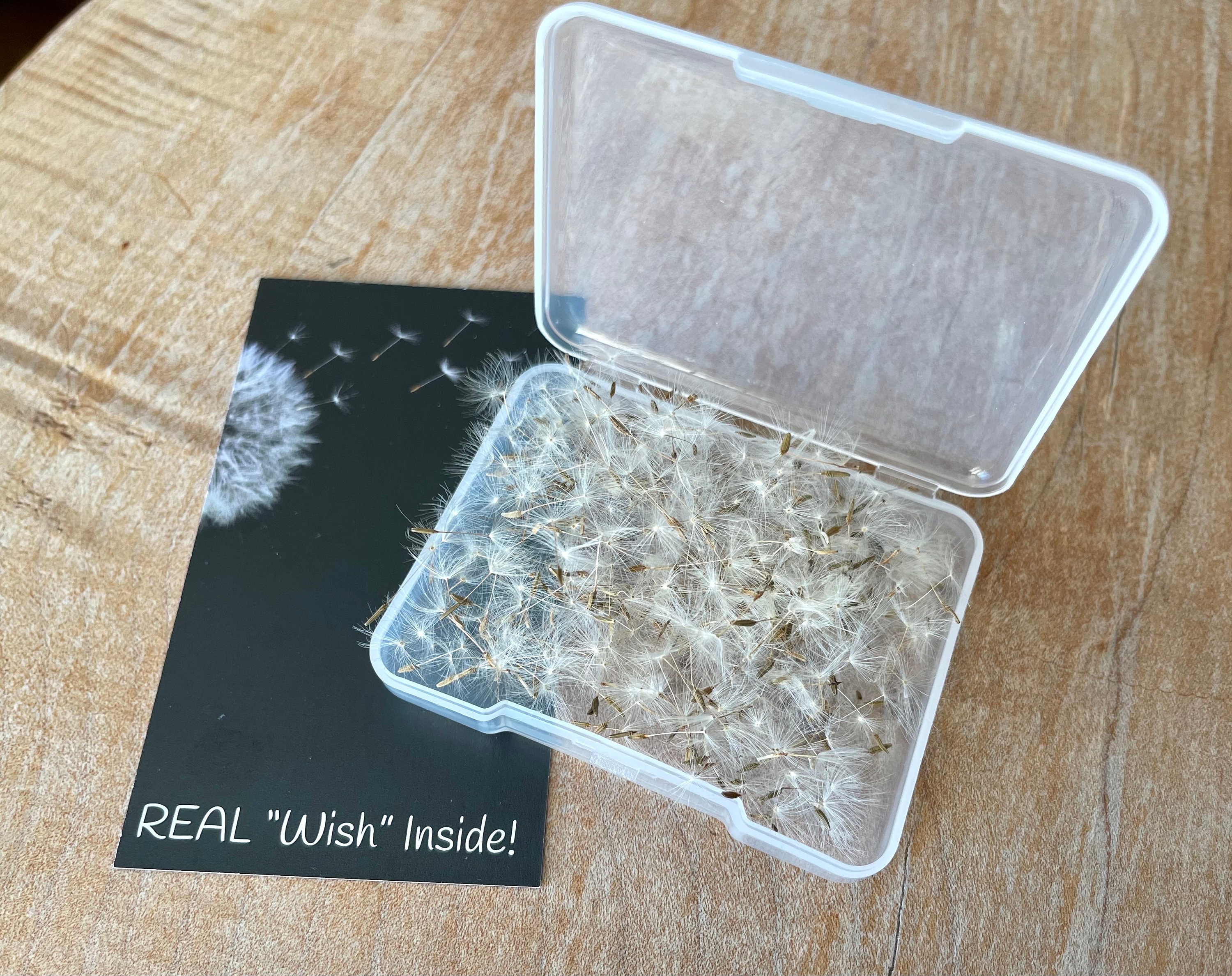 Dandelion Fluff Seeds Bulk, Tiny Dried Flowers for Resin, Make a Wish ...