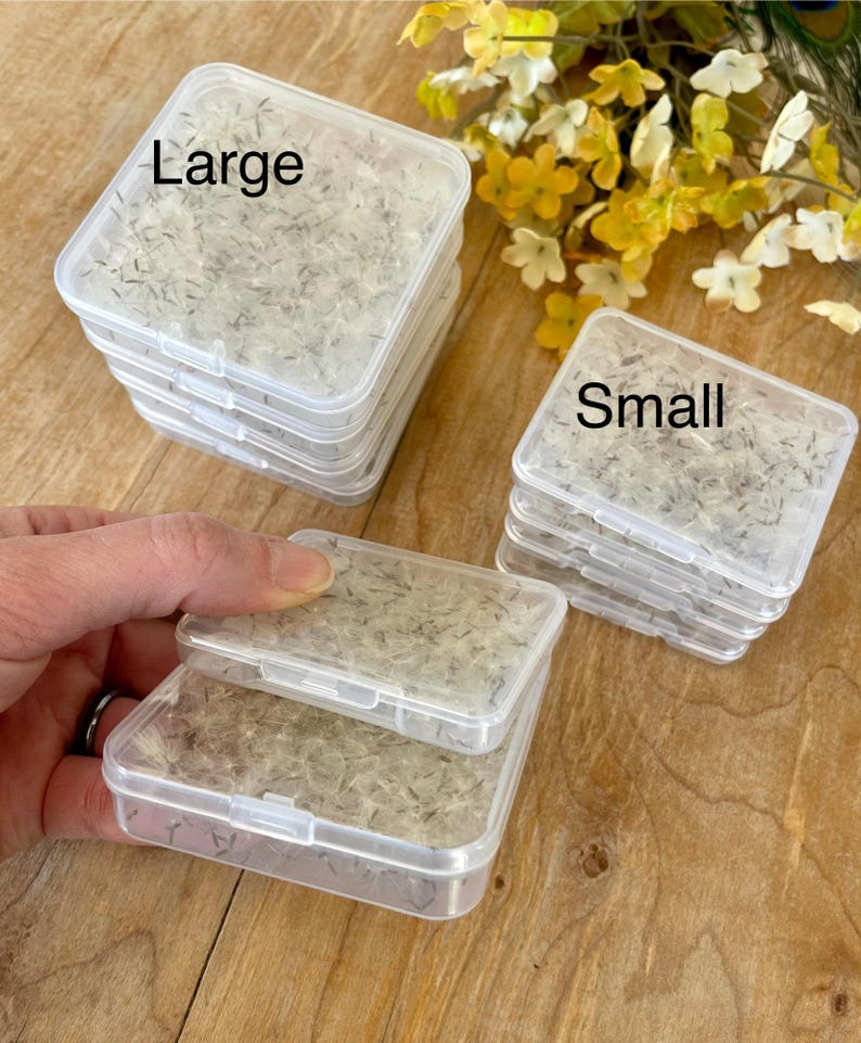 Dandelion Fluff Seeds Bulk, Tiny Dried Flowers for Resin, Make a Wish ...