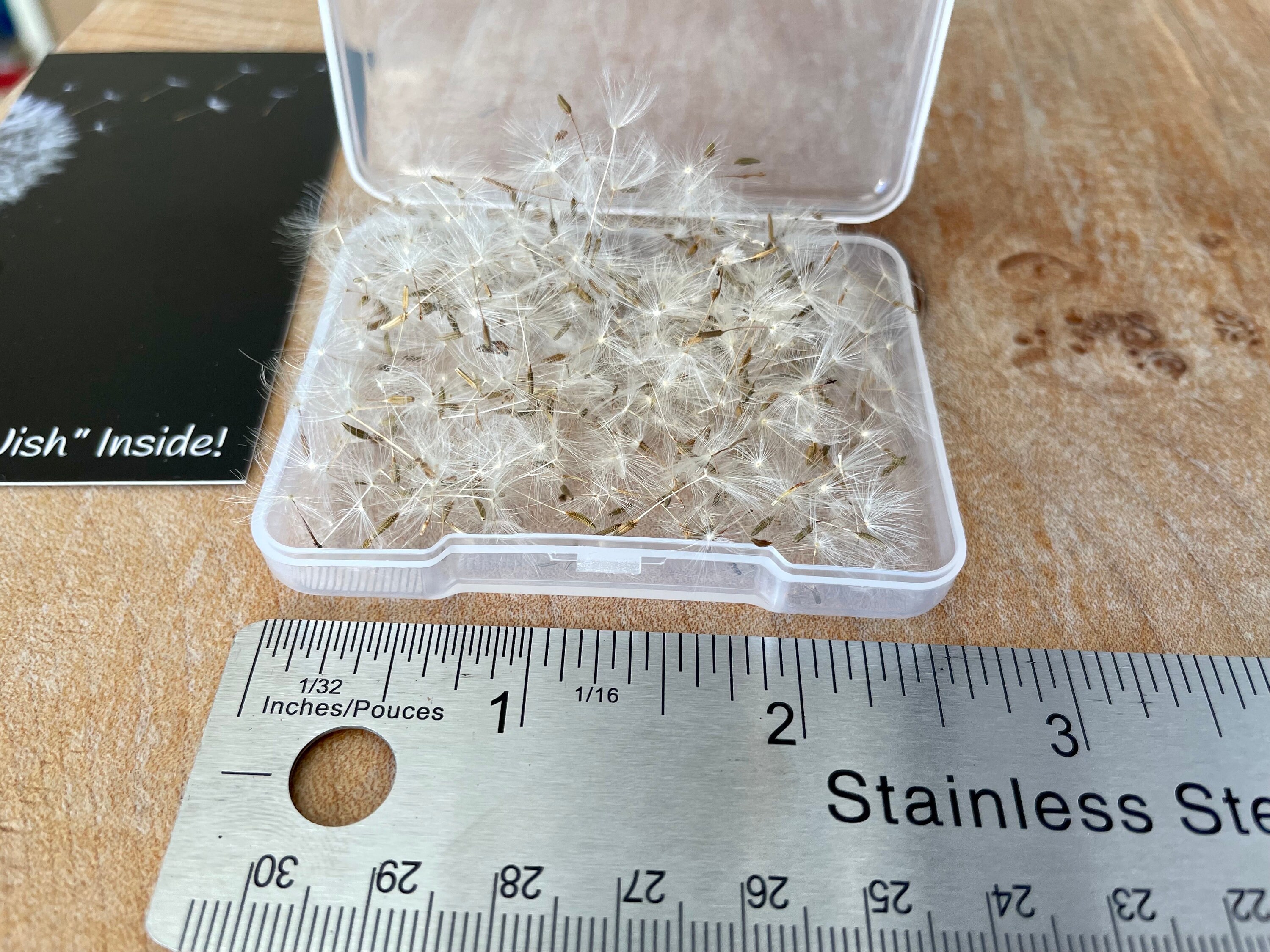 Dandelion Fluff Seeds Bulk, Tiny Dried Flowers for Resin, Make a Wish ...