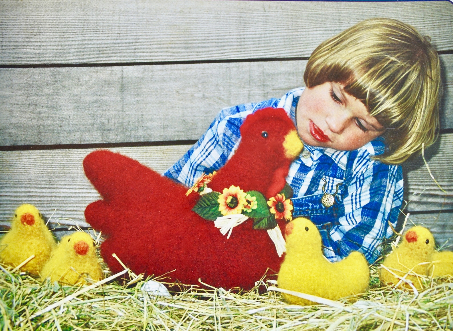 Henrietta Chook Hen & Family ~ Knitting Pattern ~ PDF Download - Etsy