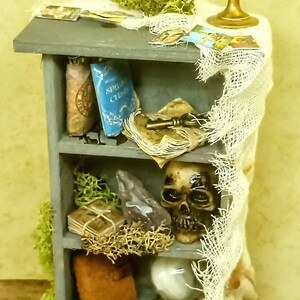 Miniature Halloween Shelf, Haunted Shelf, Shelf Display, Miniature ...