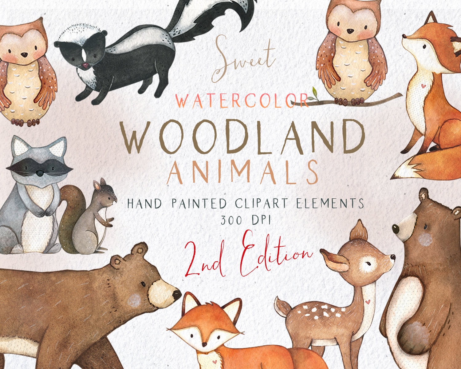 Woodland Animals Clipart Watercolor Woodlands Clipart - Etsy