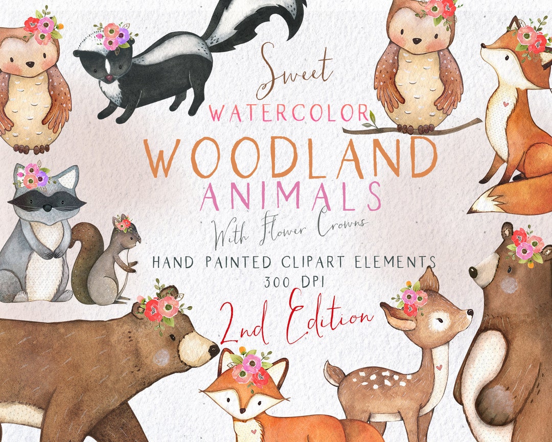 Woodland Animals Clipart, Woodland Clip Art, Watercolor Woodland ...