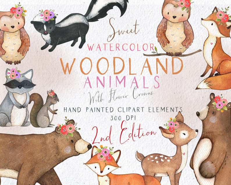 Woodland Animals Clipart Woodland Clip Art Watercolor - Etsy