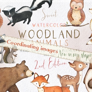 Woodland Animals Clipart, Watercolor Woodlands Clipart, Watercolor Fox ...