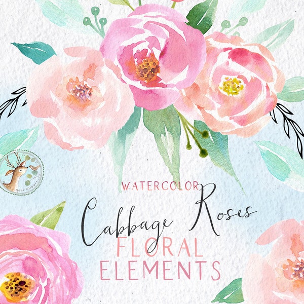 Cabbage Rose Floral - Etsy