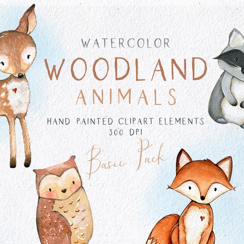 Woodland Animals Watercolor Clipart Forest Animal Clip Art - Etsy