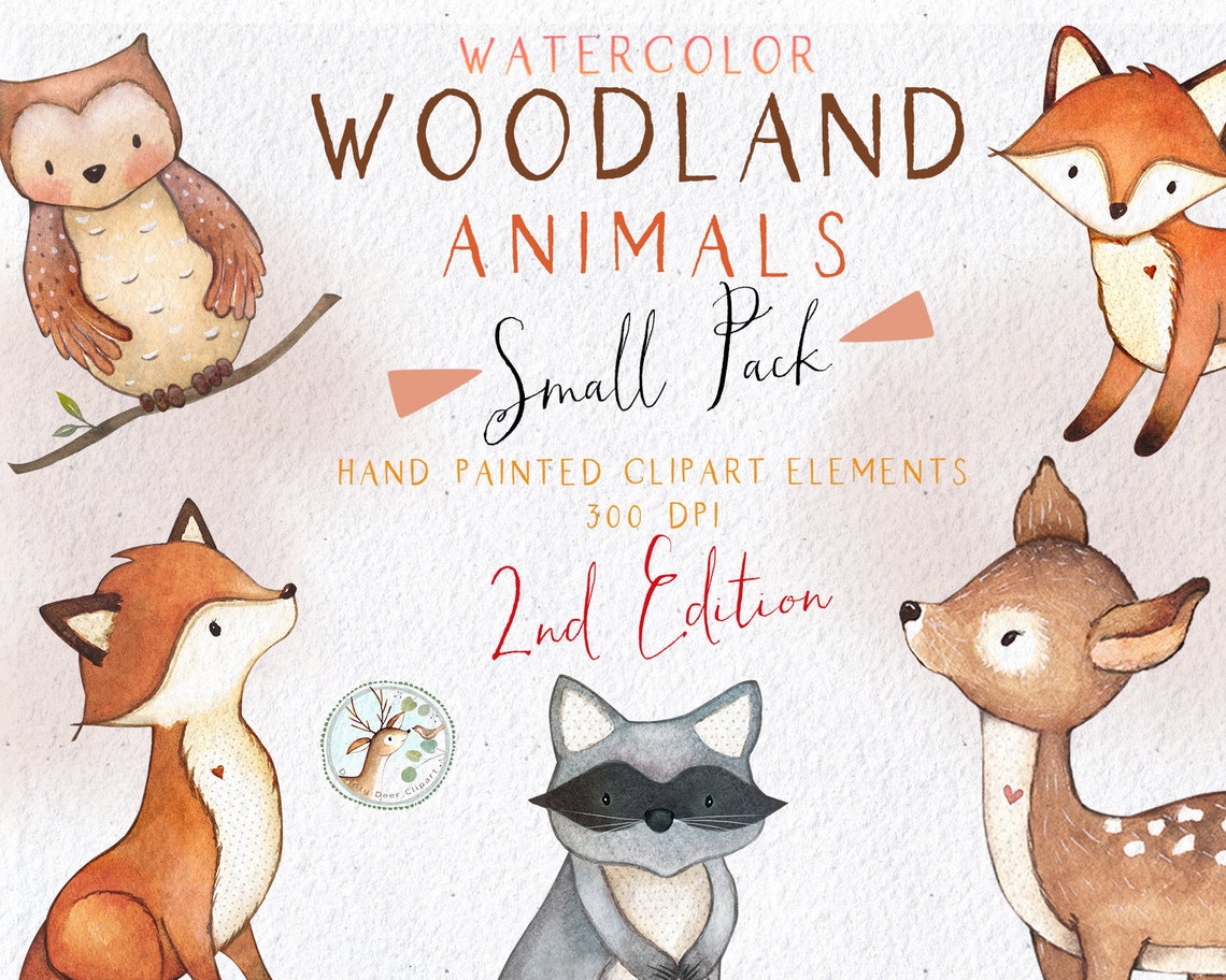 Watercolor Woodland Animals Clipart Watercolor Forest Animals - Etsy