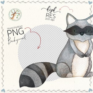 Watercolor Woodland Animals Clipart, Watercolor Forest Animals Clip Art ...