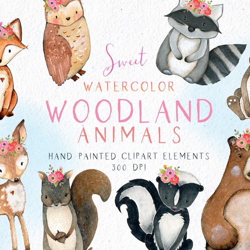 Watercolor Woodland Clipart Forest Animals Clipart - Etsy