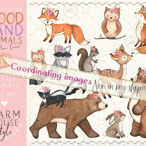 Woodland Animals Clipart, Woodland Clip Art, Watercolor Woodland ...