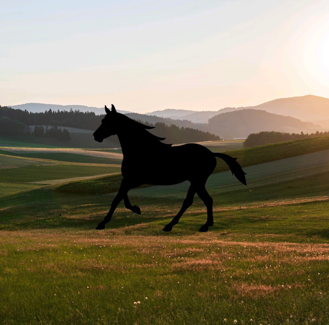 Running Horse Decal, Saddle up Decal, Eyes up Heels Down Decal ...